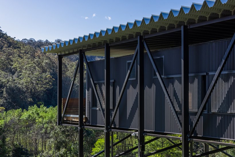 Fielders | Bundanon Art Museum and Bridge, NSW